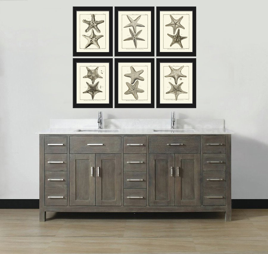 Sea Star Starfish Print Set of 6 Wall Decor Art Vintage Sea Ocean ...