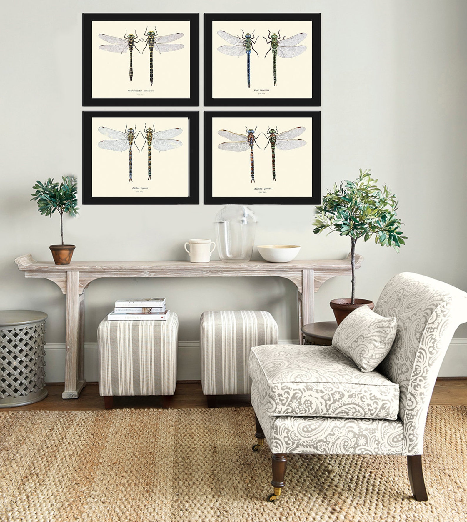 Dragonfly Wall Art Set of 4 Prints Beautiful Antique Vintage ...