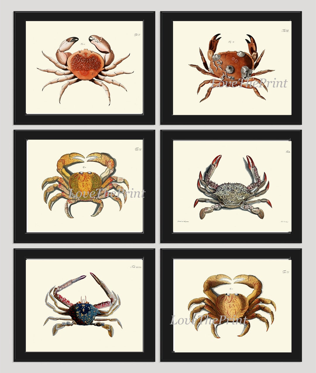 Vintage Crab Prints Wall Art Set of 6 Beautiful Antique Red Blue Sea ...