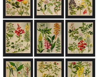 Wildflower Botanical Prints Wall Art Set of 4 Beautiful | Etsy