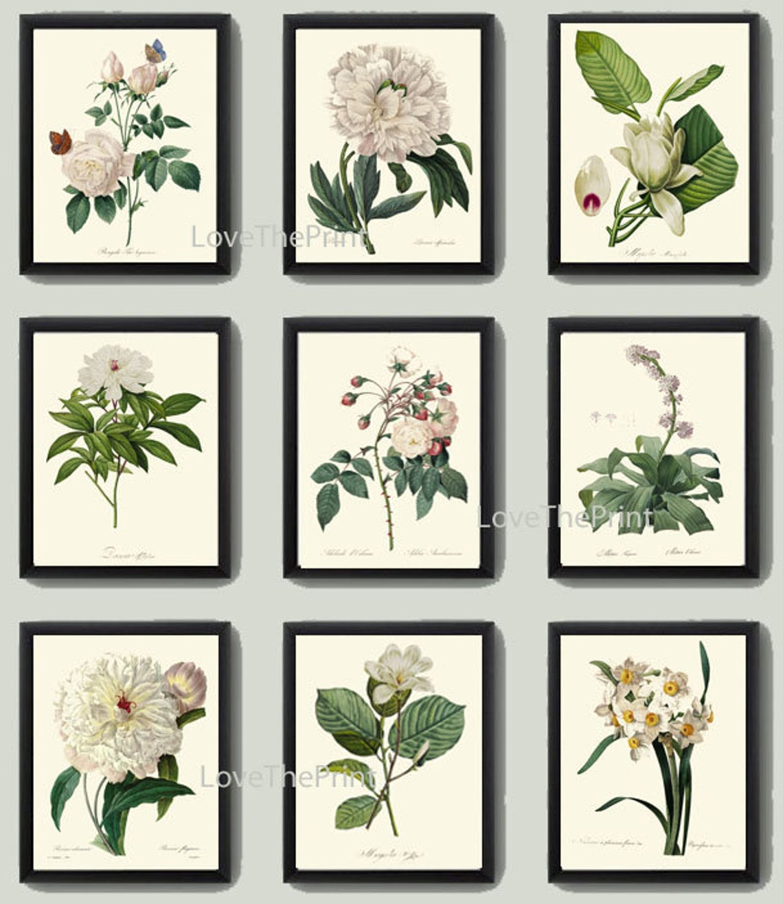 White Flowers Botanical Vintage Antique Wall Art Set of 9 Prints ...