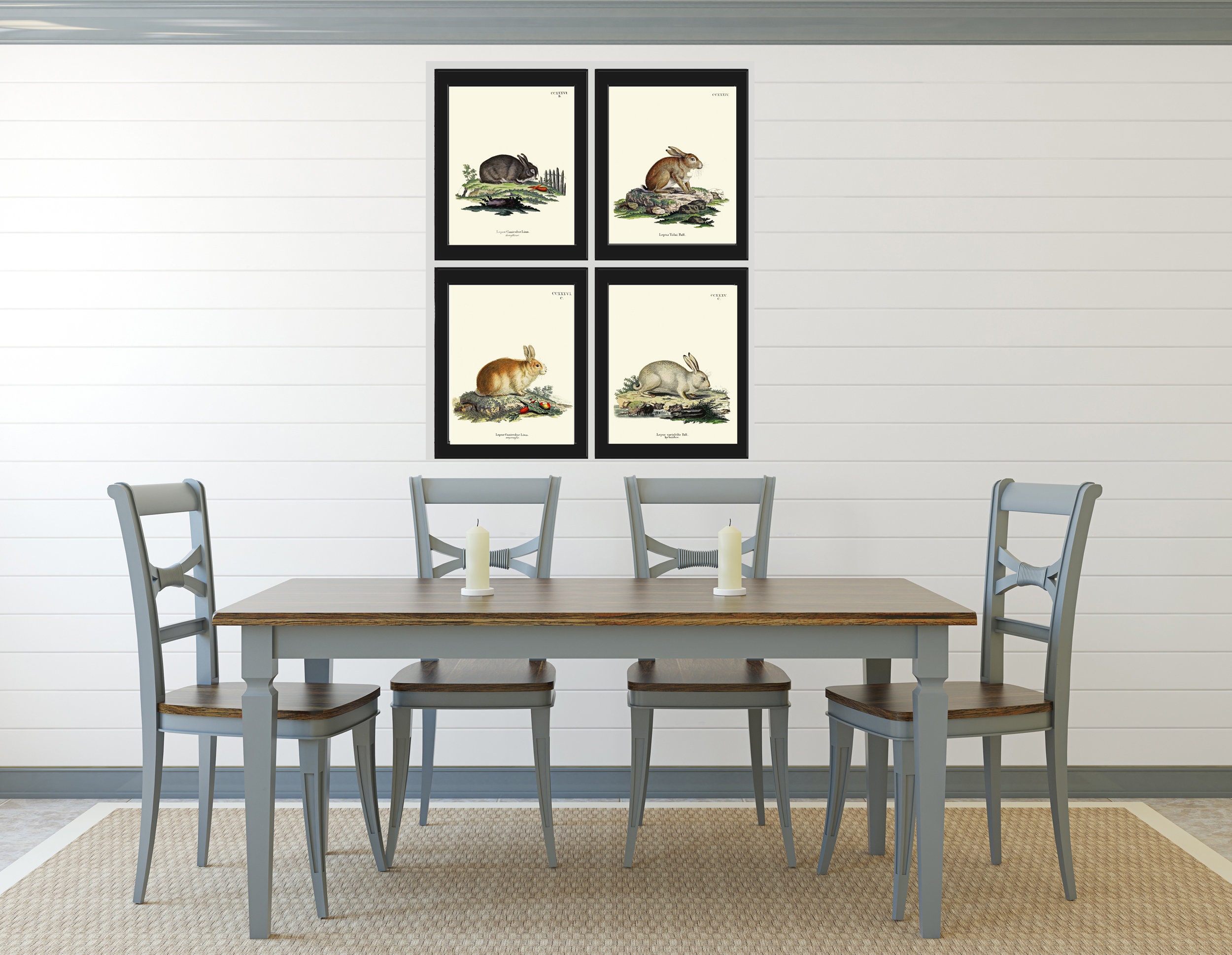 Rabbit Wall Art Print Set of 4 Beautiful Antique Vintage Woodland ...