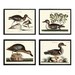 Vintage Duck Bird Wall Art Print Set of 4 Beautiful Antique Lake House ...
