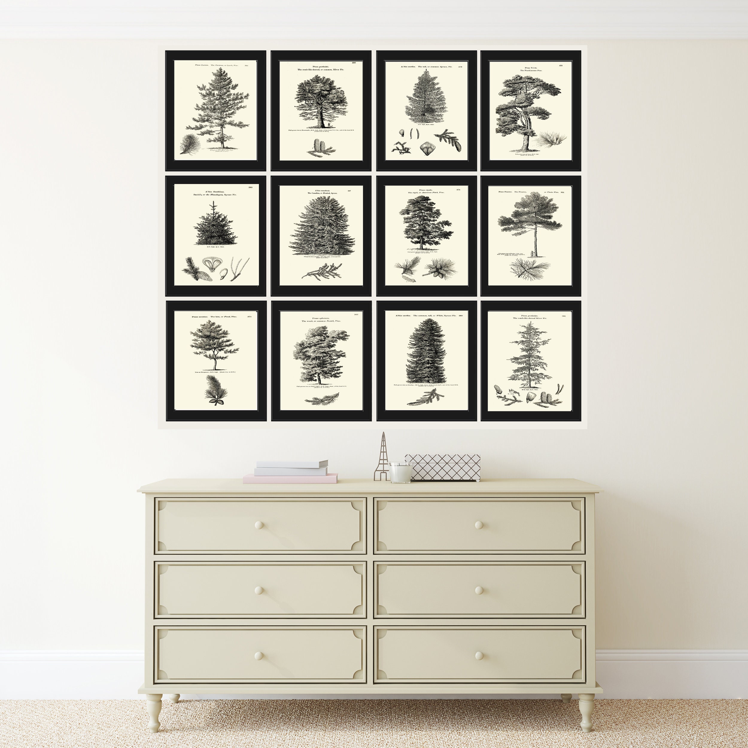 Pine Tree Wall Art Set of 12 Prints Beautiful Vintage Antique Trees ...