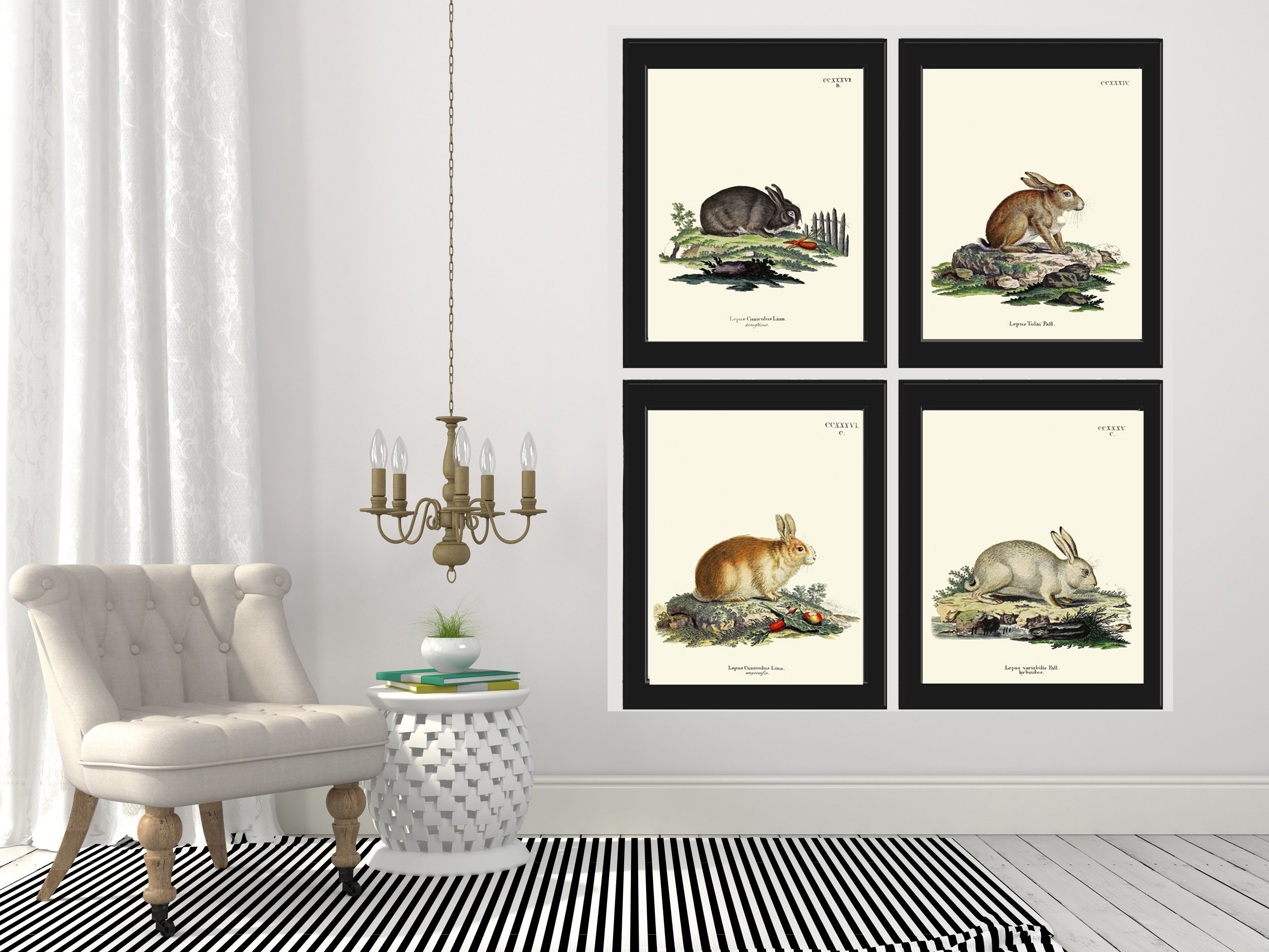 Rabbit Wall Art Print Set of 4 Beautiful Antique Vintage Woodland ...