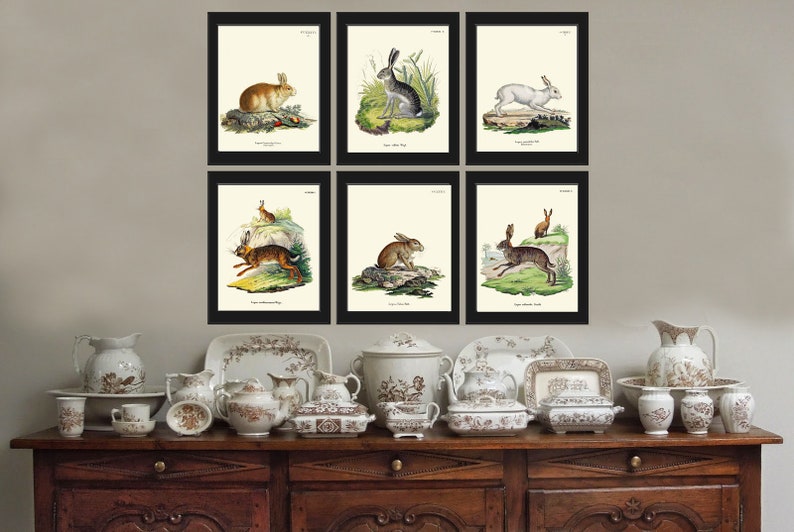 Vintage Rabbit Baby Bunnies Wall Art Set of 6 Prints Beautiful Antique ...