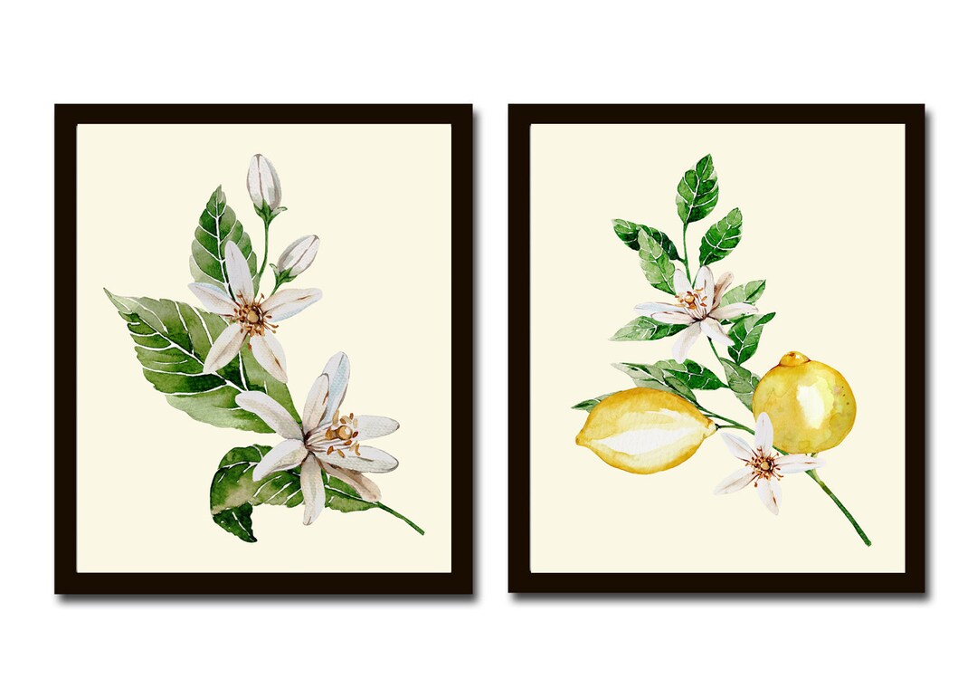 Lemon Print Set Fruit Botanical Wall Art 2 Prints Beautiful Blooming ...