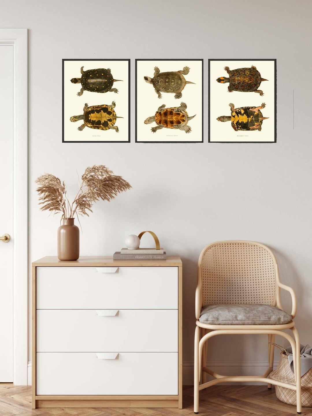 Turtle Print Wall Art Set of 3 Antique Vintage Tortoise Animal Natural ...