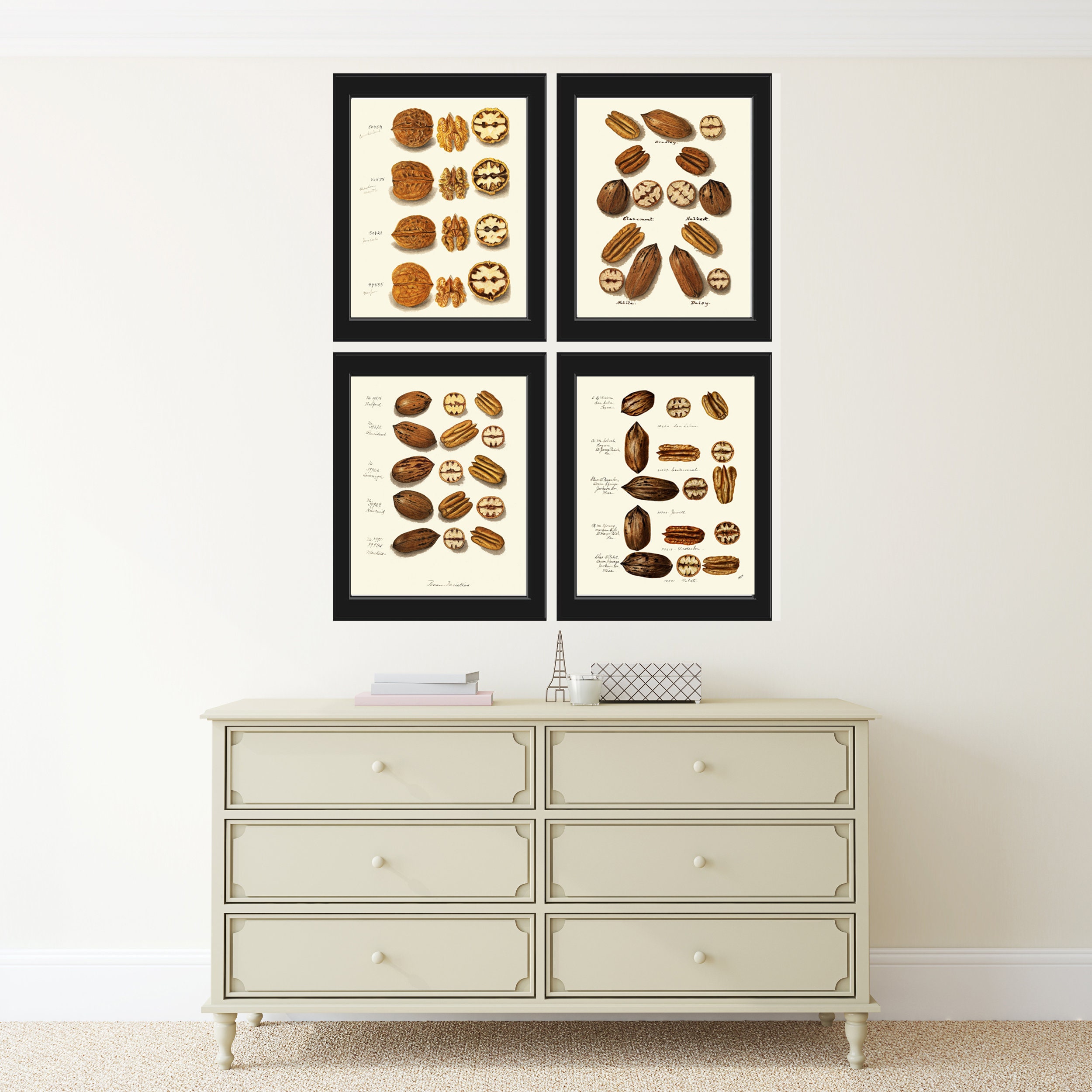 Pecan Walnut Nut Wall Decor Art Prints Set of 4 Beautiful Antique ...