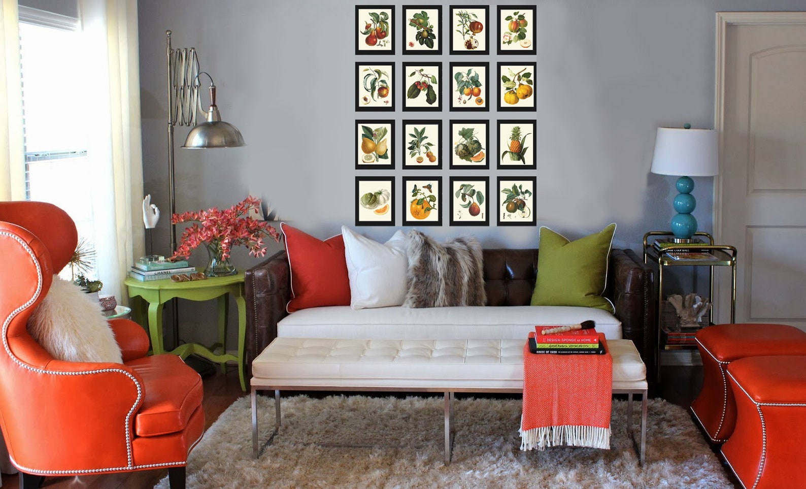 Fruit Home Decor Botanical Wall Art Set of 16 Beautiful Colorful Garden ...