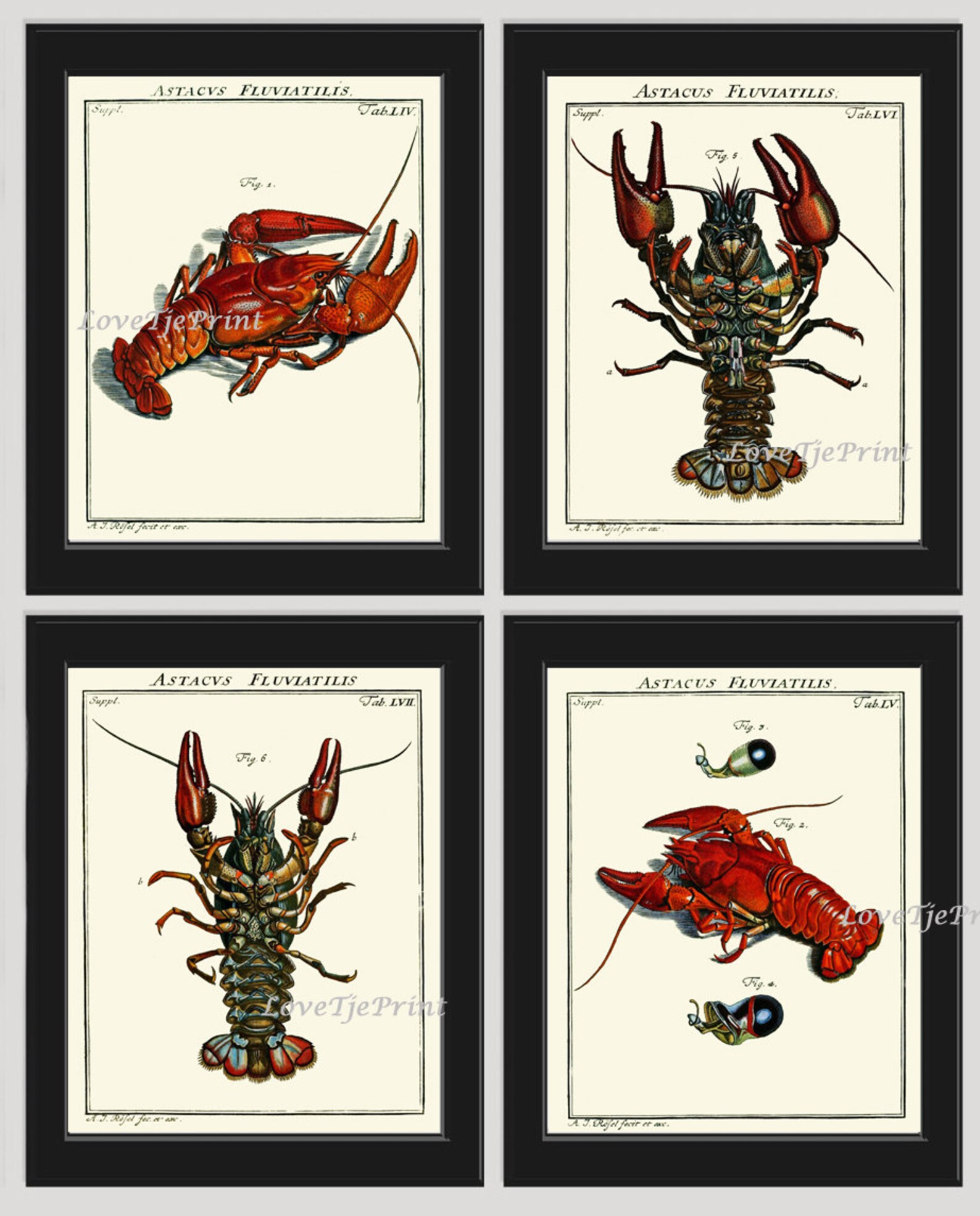 Lobster Wall Art Set of 4 Prints Beautiful Vintage Antique Blue Red Sea ...
