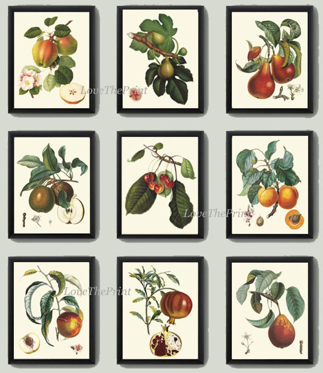 Vintage Fruit Wall Art Set of 9 Prints Kitchen Dining Room Beautiful ...