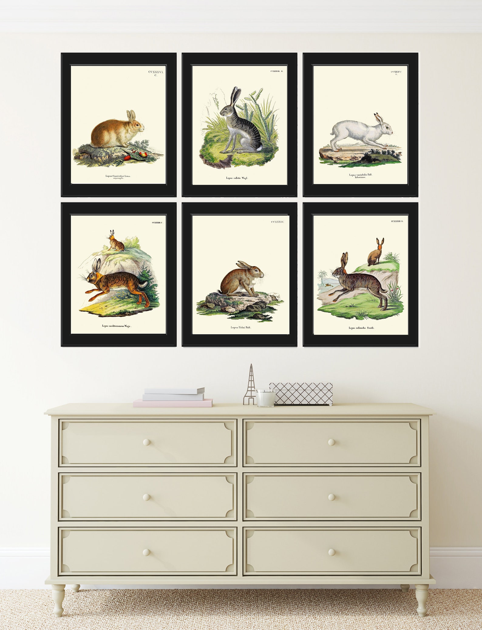 Vintage Rabbit Baby Bunnies Wall Art Set of 6 Prints Beautiful Antique ...