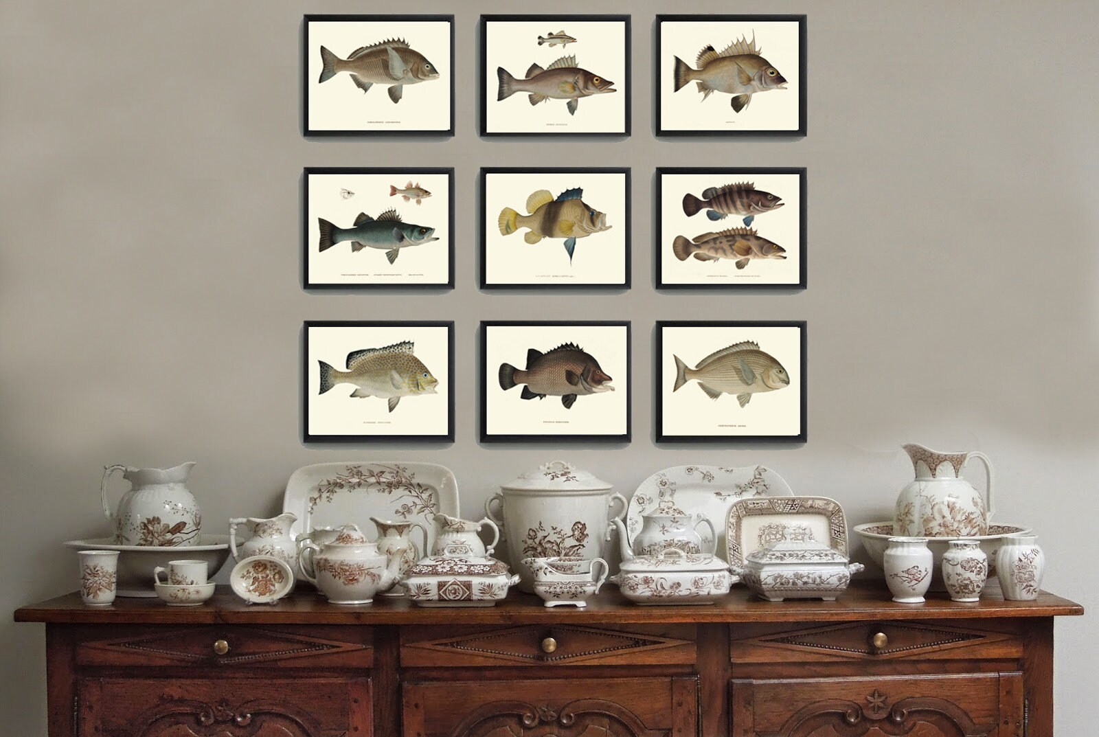 Vintage Fish Wall Art Set of 9 Prints Beautiful Antique Fishes - Etsy