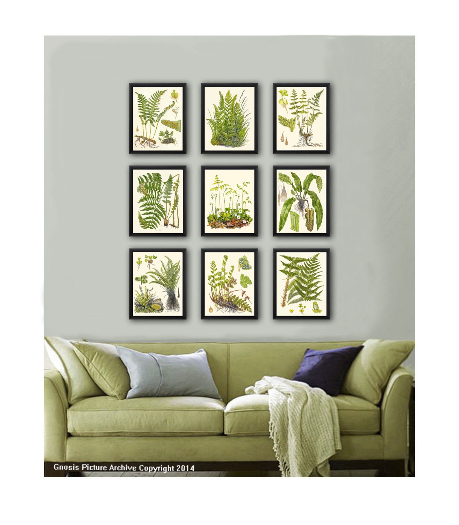 Fern Prints Wall Art Set of 9 Beautiful Botanical Antique Vintage Green ...