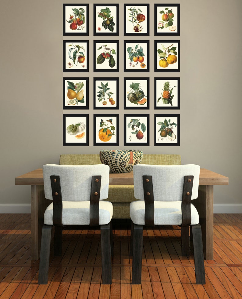 Fruit Home Decor Botanical Wall Art Set of 16 Beautiful Colorful Garden ...
