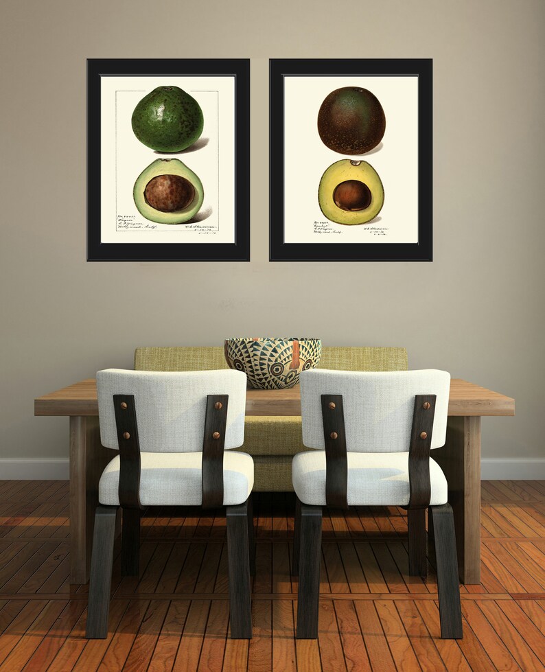 Avocado Wall Art Print Botanical Set of 2 Beautiful Vintage Fruit ...