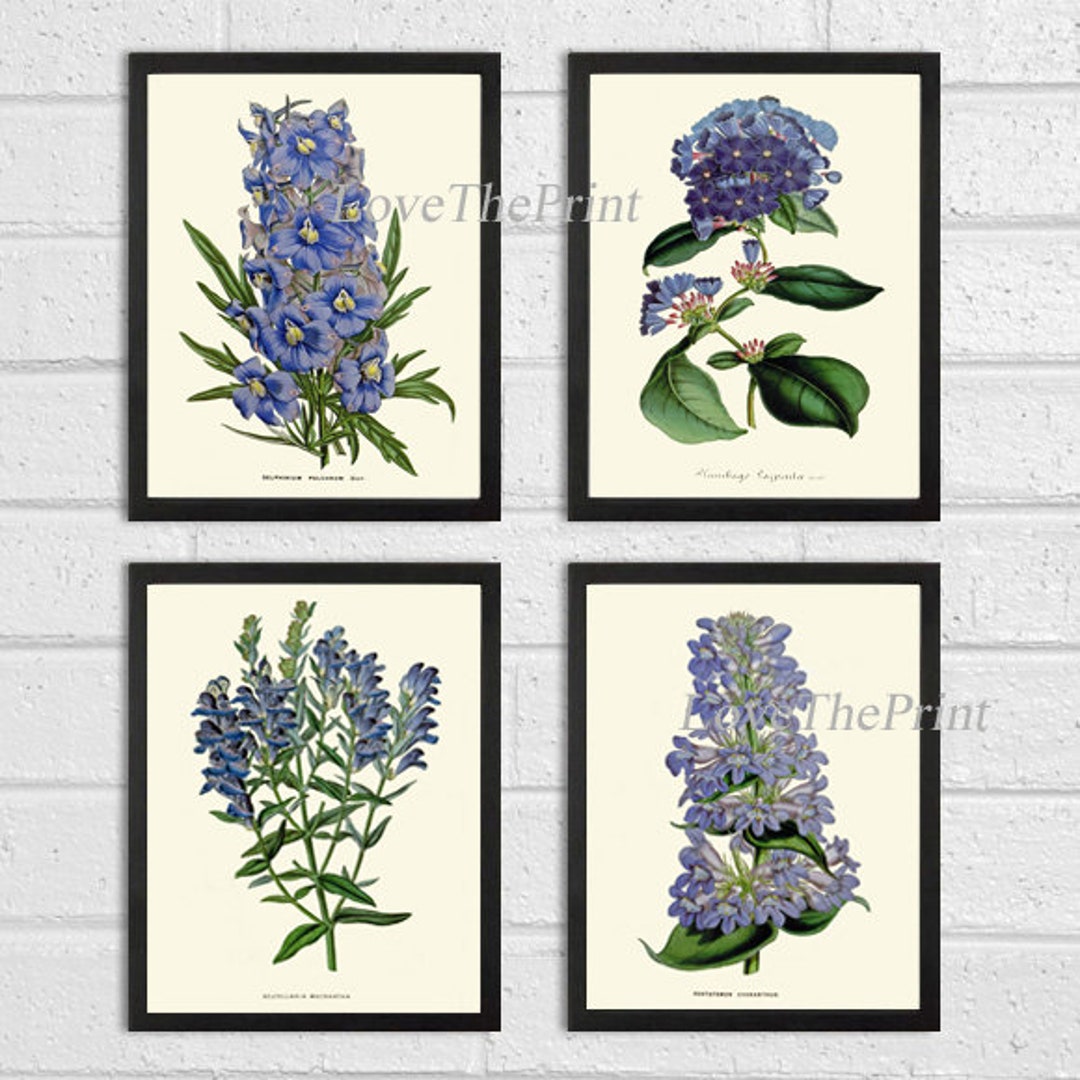 Blue Flowers Botanical Print Set of 4 Farmhouse Home Decor Cottage ...
