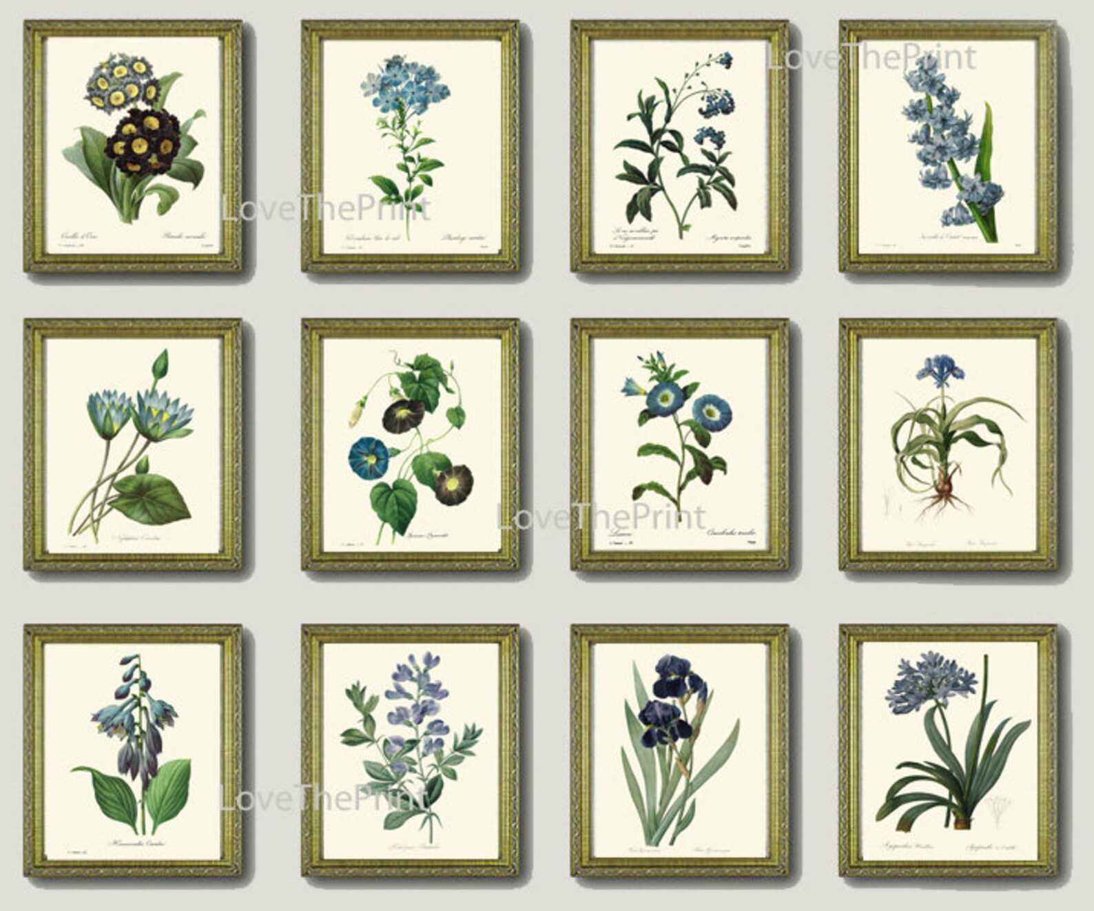 Blue Flowers Botanical Prints Wall Art Set of 12 Beautiful - Etsy