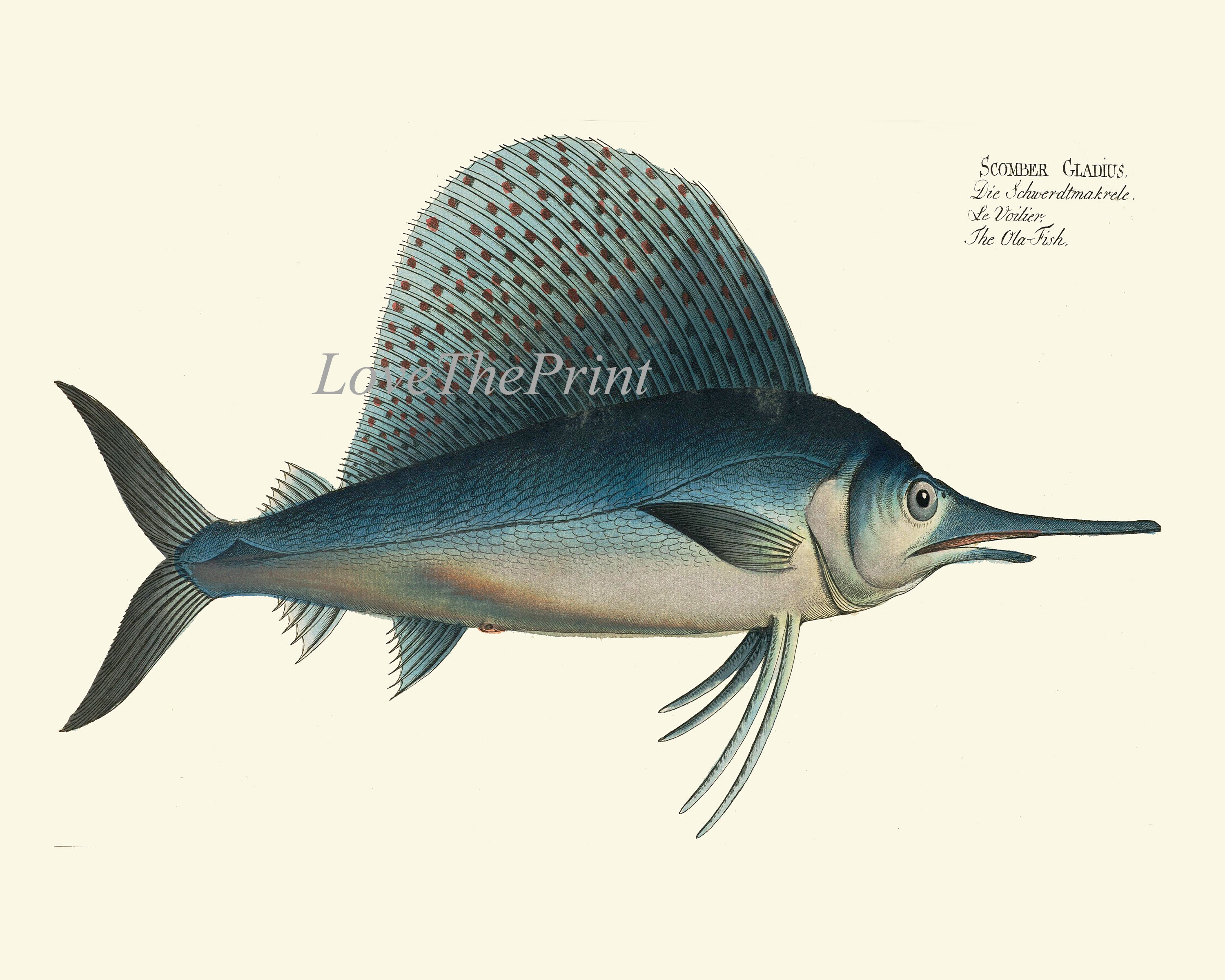 Swordfish Wall Art Set of 2 Prints Beautiful Antique Vintage Blue Sea ...