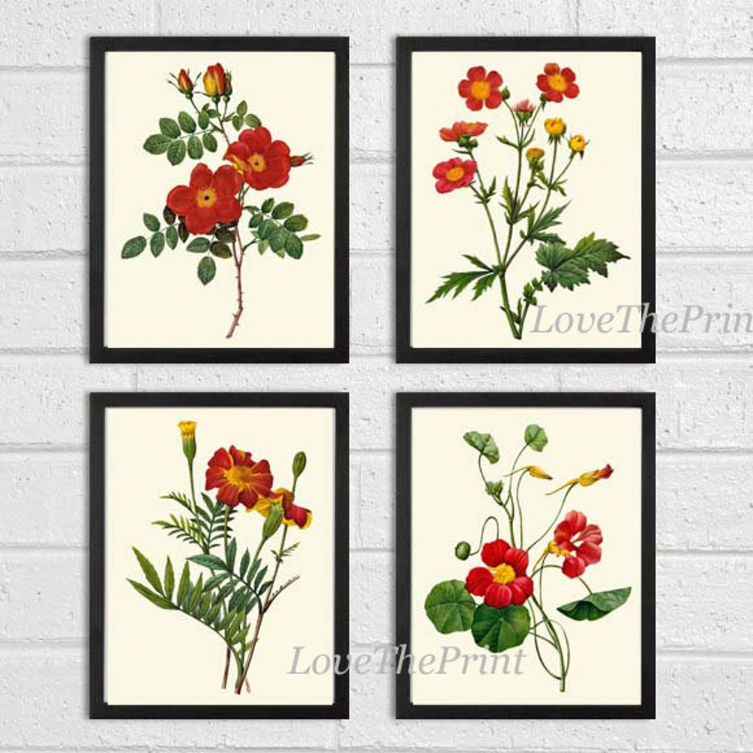 Red Flowers Botanical Wall Art Set of 4 Prints Beautiful Antique ...