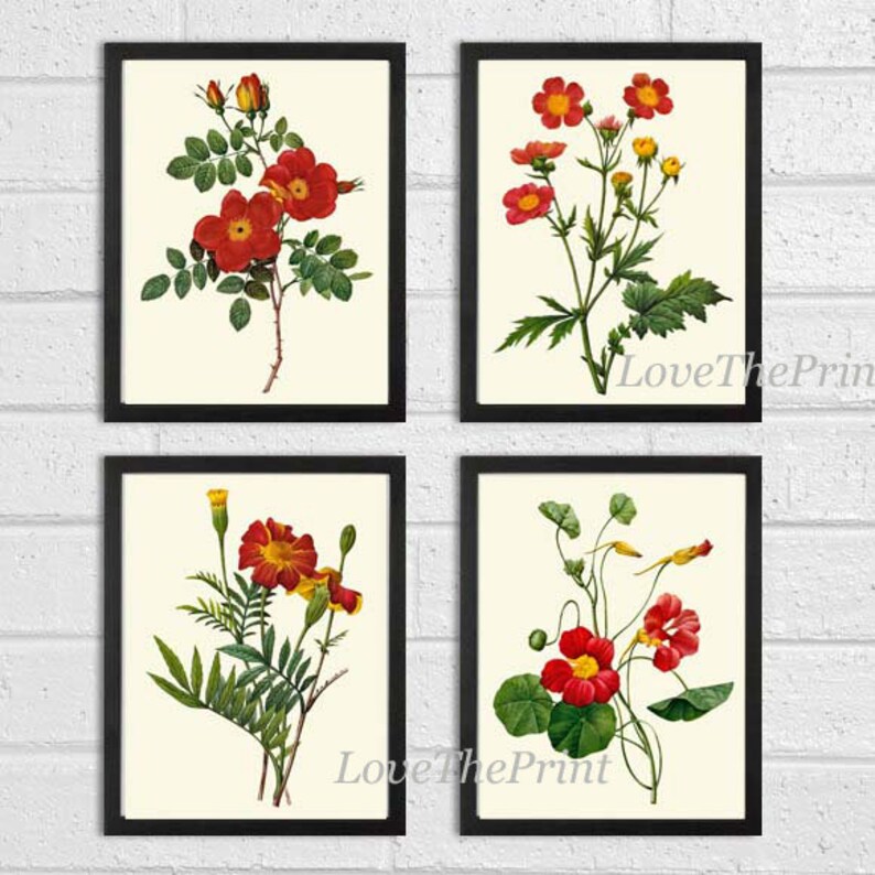Red Flowers Botanical Wall Art Set of 4 Prints Beautiful - Etsy Canada
