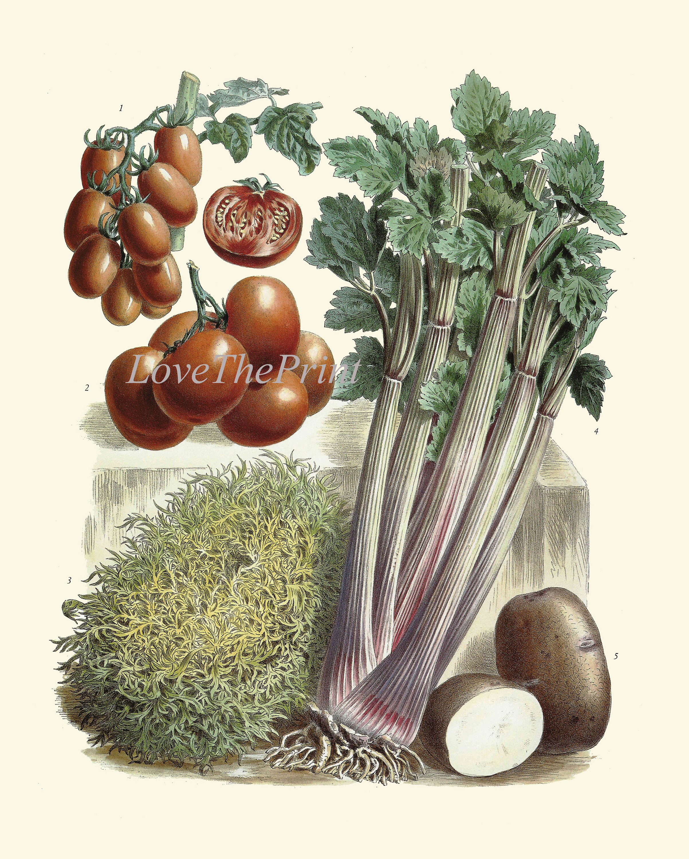 Vintage Vegetable Garden Wall Art Set of 4 Prints Beautiful Antique ...