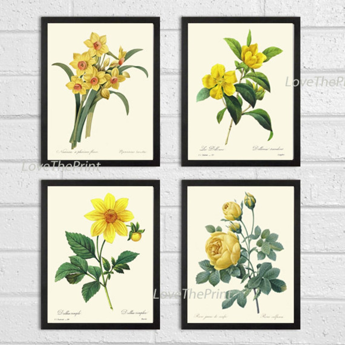 Yellow Flowers Botanical Print Set of 4 Beautiful Antique Vintage Wall ...