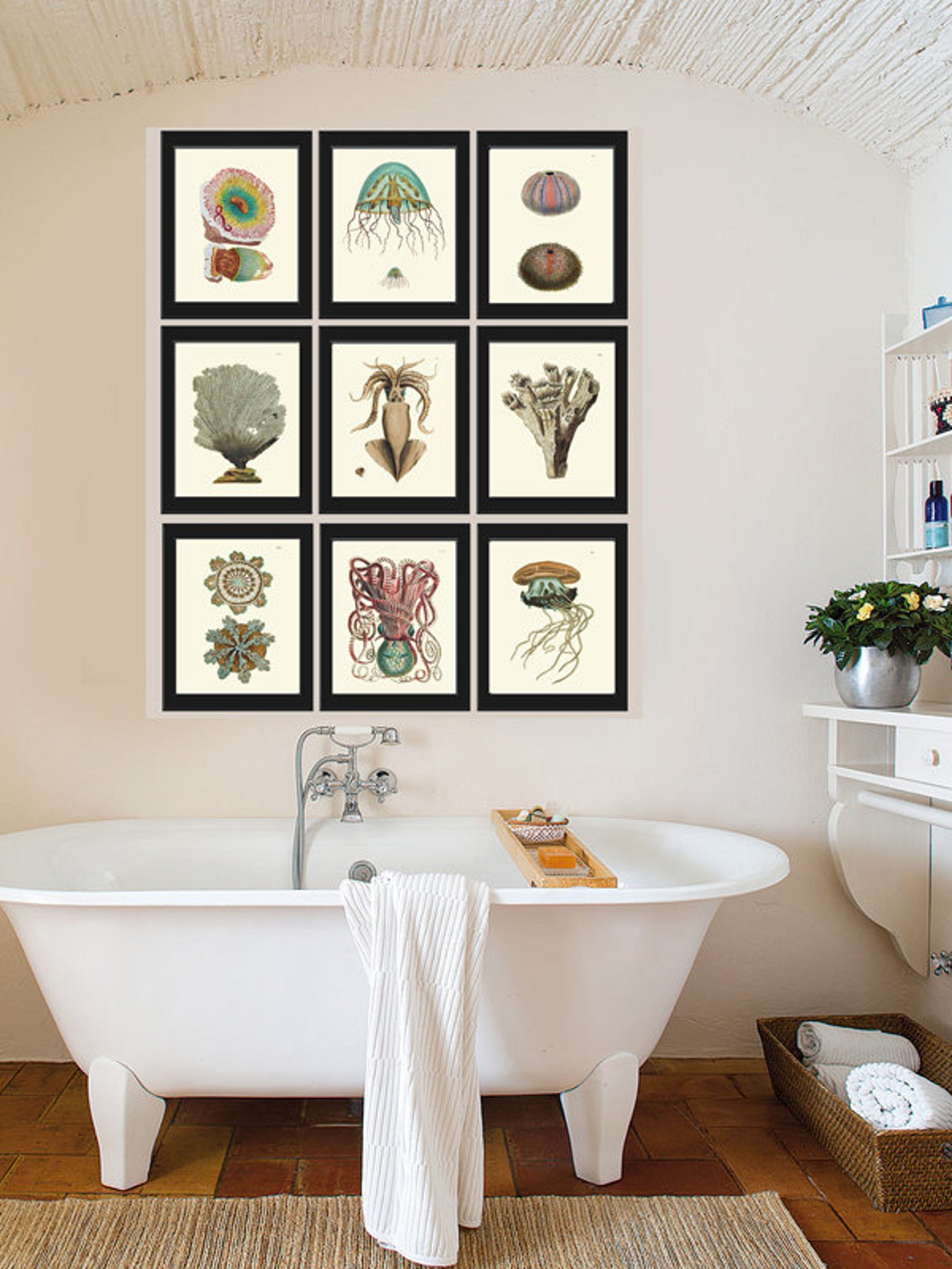 Corals Coral Prints Wall Decor Art Set of 9 Beautiful Antique - Etsy