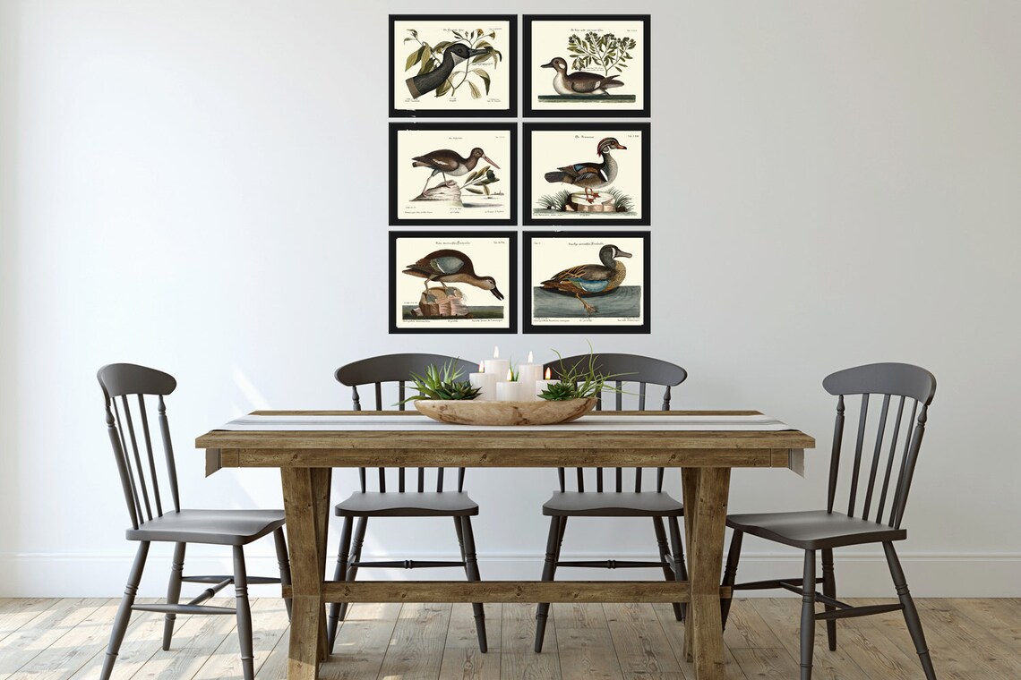 Vintage Duck Bird Prints Wall Art Set of 6 Antique Farmhouse - Etsy