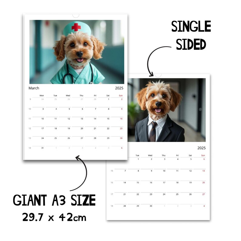 Funny Dog Calendar // Cockapoos Who Think They're People 2025 // A3 ...