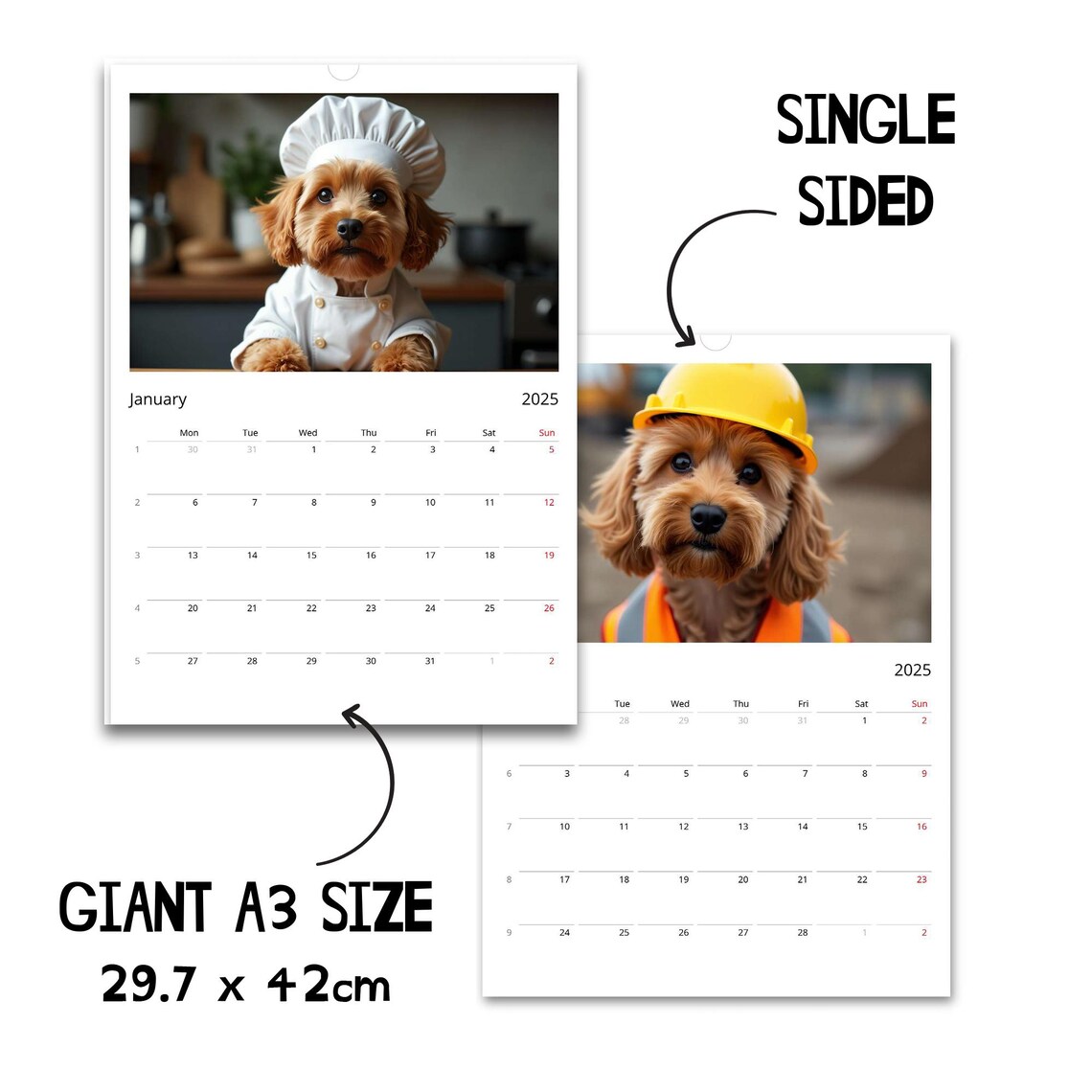 Funny Dog Calendar // Cockapoos Who Think They're People 2025 // A3 ...