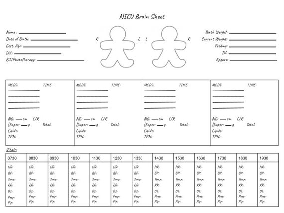 NICU Brain Sheet - Etsy