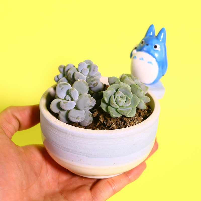 Anime Planter - Etsy
