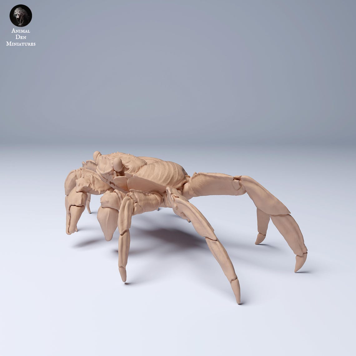 Sally Lightfoot Crab 1/4 Scale Realistic Animal Model | Decorative ...