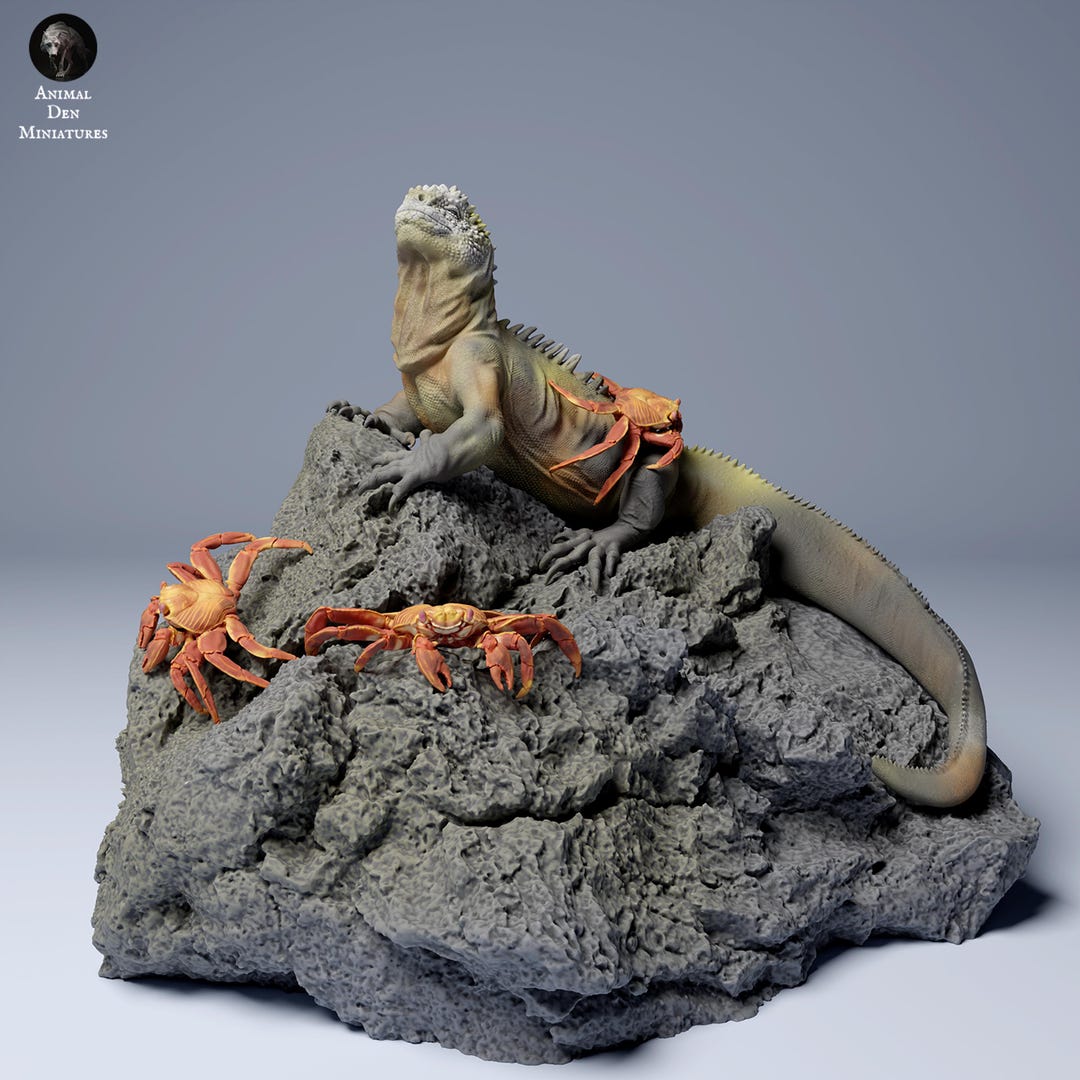 Marine Iguana & Lightfoot Crabs 1/16 Scale Realistic Animal Model ...