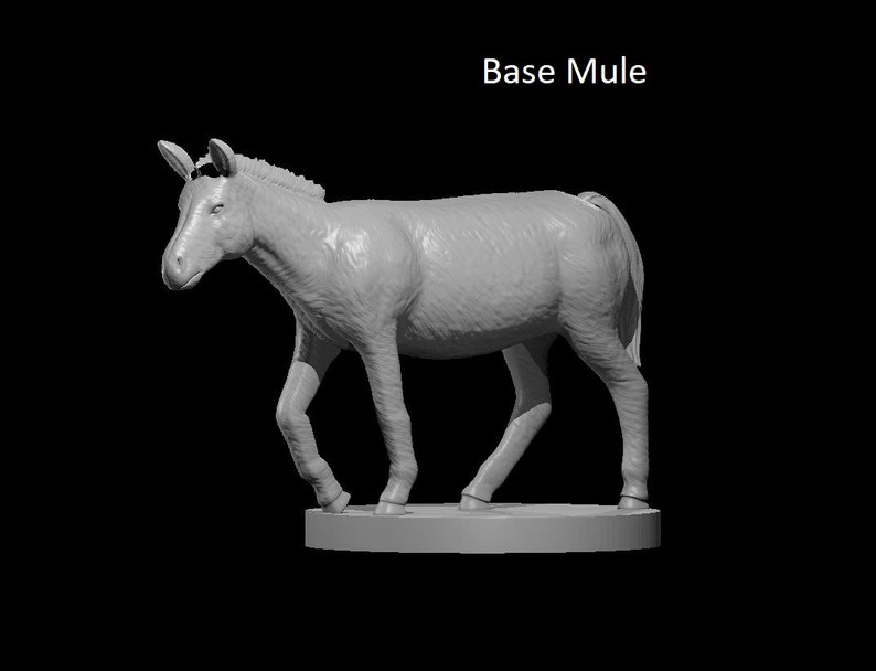 Custom Scale Mules X4 - Etsy