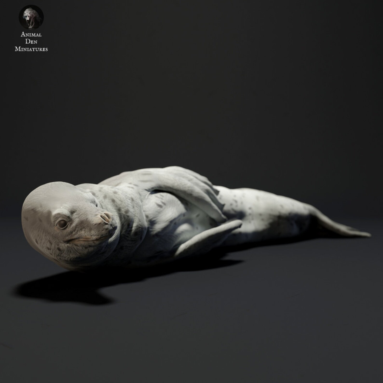 Leopard Seal 1/24 Scale Realistic Animal Model 3D Printed | Decorative ...