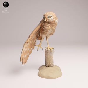 Burrowing Owl 1/6 Scale Realistic Animal Model 3D Printed | Decorative ...