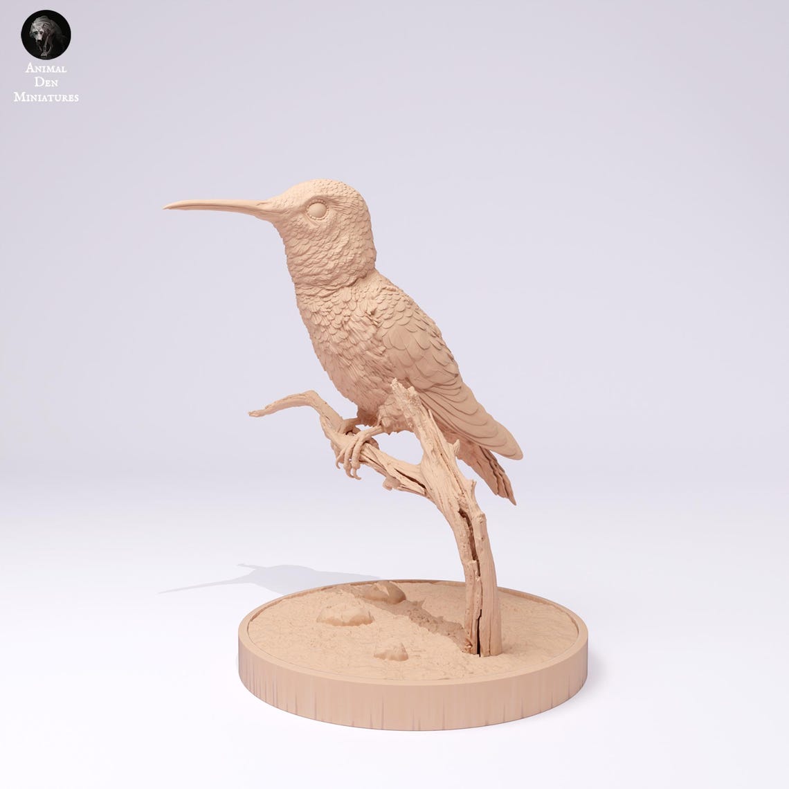 Broad-tailed Hummingbird 1/1 Scale Realistic Animal Model 3D Printed ...