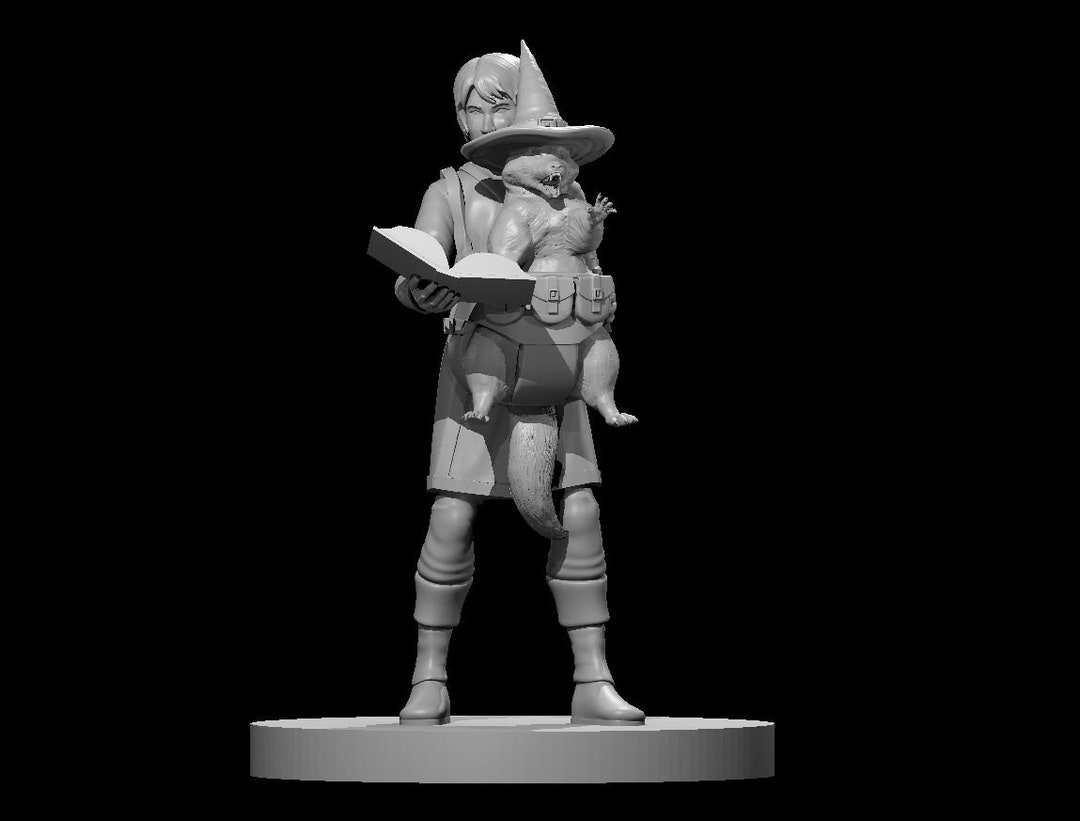 The Racoon Wizard and His Apprentice Miniature for Table Top Games ...