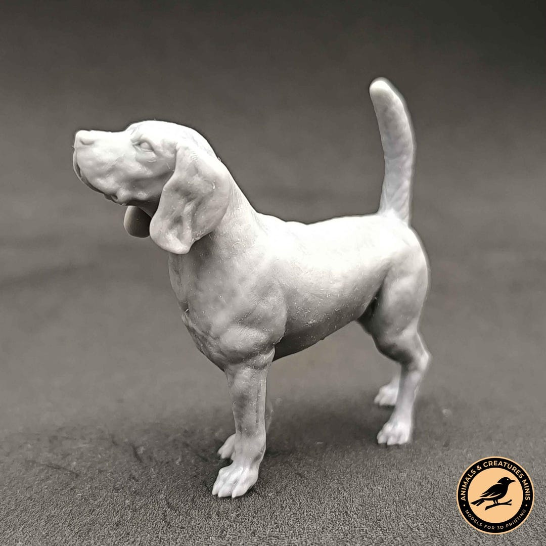 Beagle Realistic Animal Model 3D Printed | Decorative Display Piece ...
