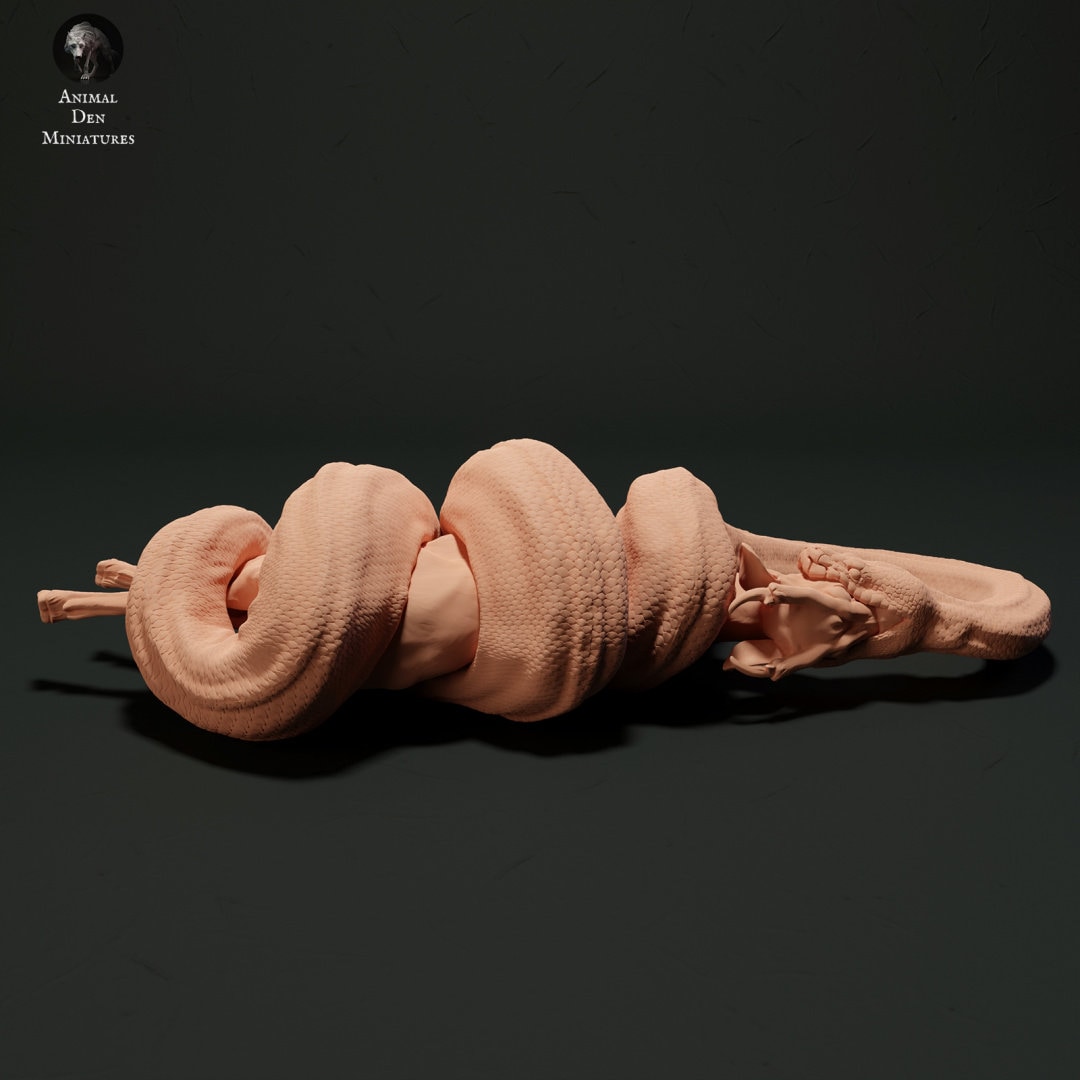 Burmese Python 1/24 Scale Realistic Animal Model 3D Printed - Etsy