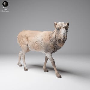 Mongolian Saiga 1/24 Scale Realistic Animal Model 3D Printed ...