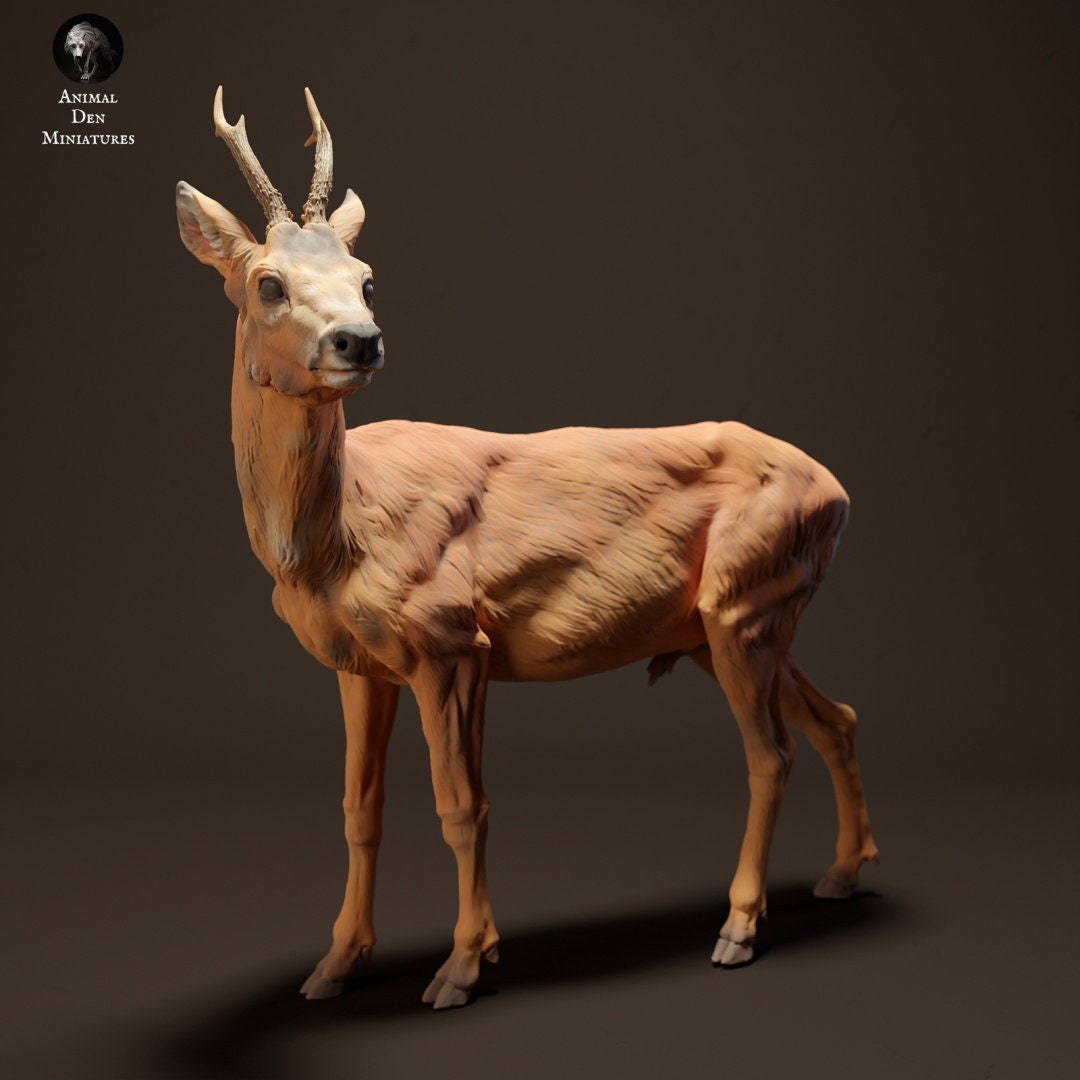 Roe Deer 1/24 Scale Realistic Animal Model 3D Printed | Decorative ...