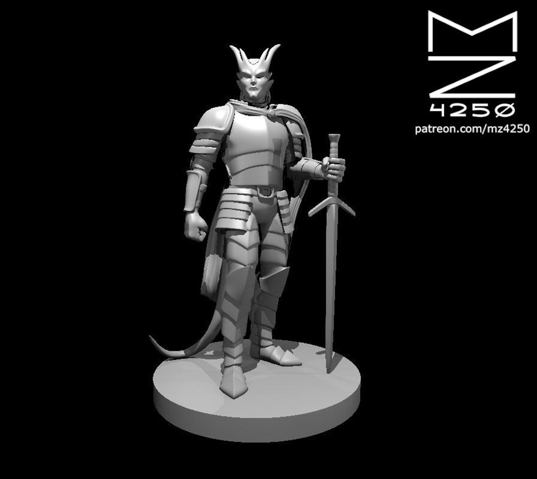 Tiefling Paladin 2 Miniature for Table Top Games : Resin 3D Printed ...