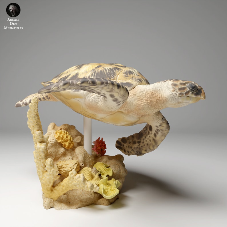 Hawksbill Sea Turtle 1/16 Scale Realistic Animal Model 3D Printed ...