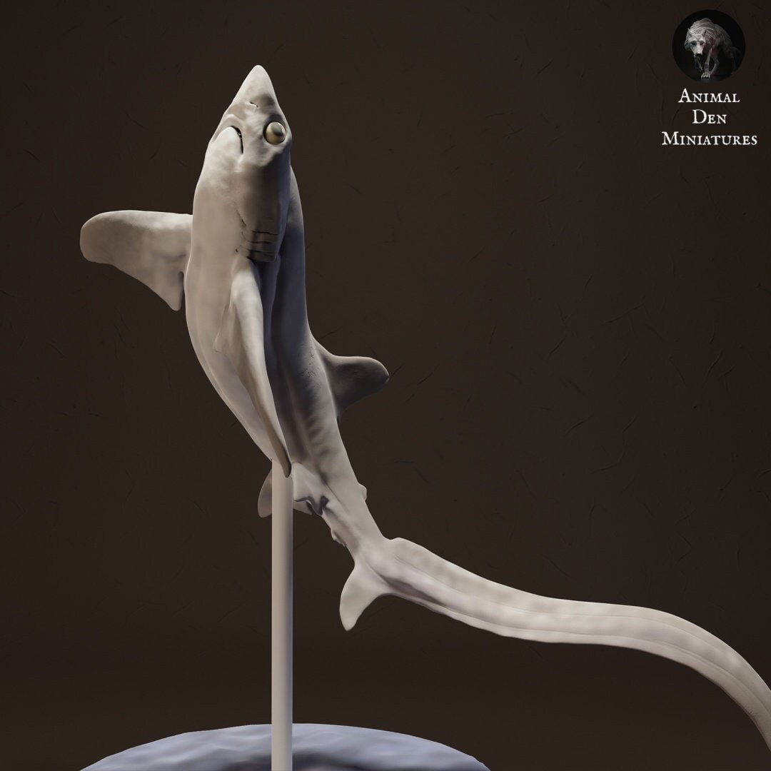 Big Eye Thresher Shark 1/24 Scale Animal Model 3D Printed | Decorative ...