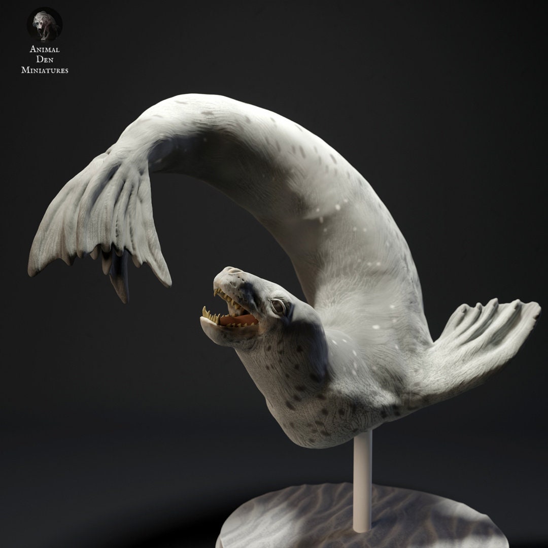 Leopard Seal 1/24 Scale Realistic Animal Model 3D Printed | Decorative ...