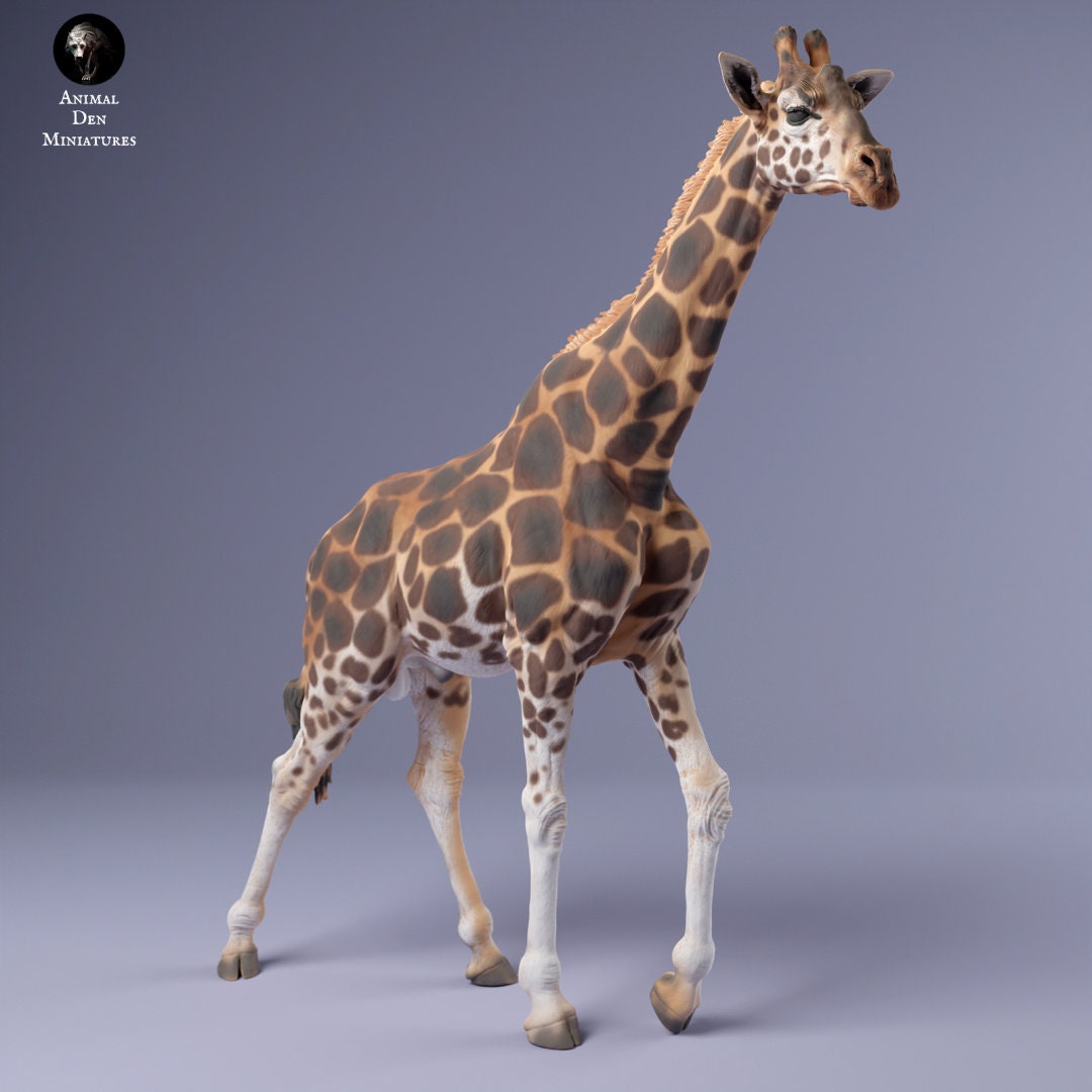 Rothschild Giraffe 1/24 Scale Realistic Animal Model 3D Printed ...